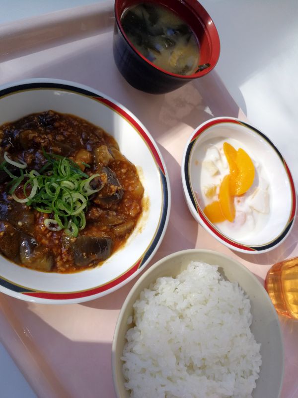 本日の昼食 もぶろぐ